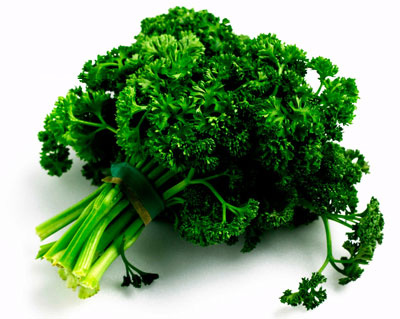 Semer du persil - Jardiner avec Jean-Paul